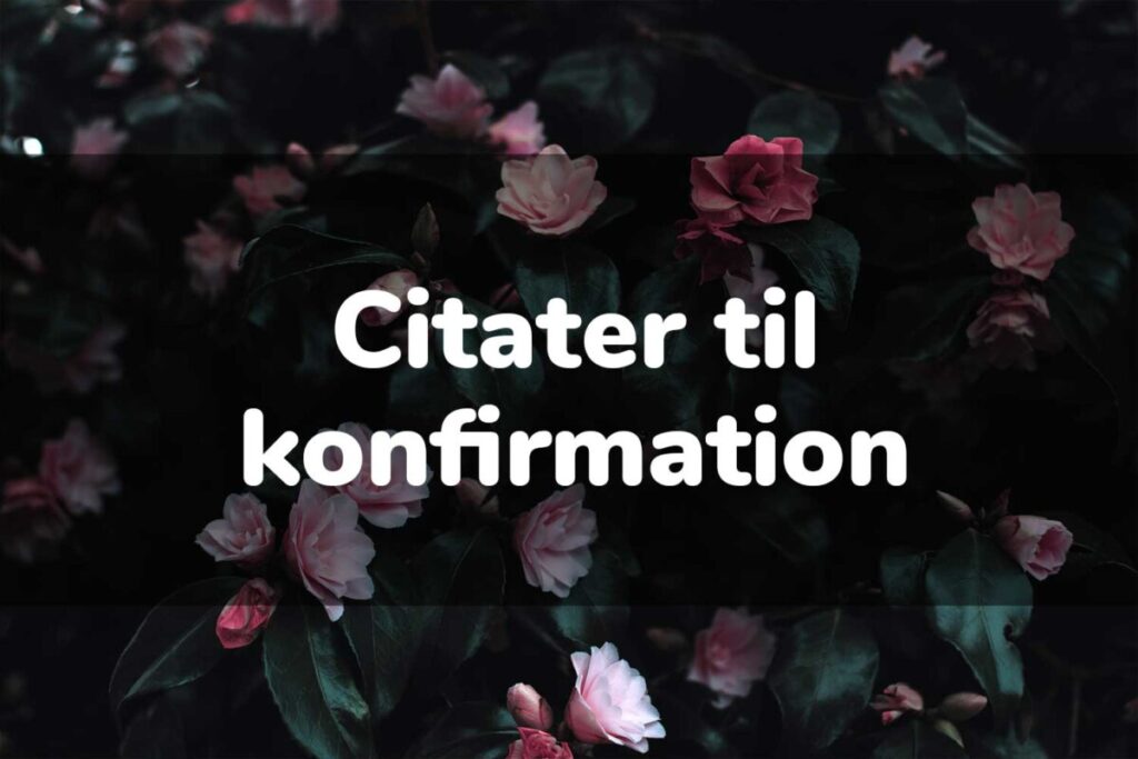 Citater til konfirmation | Find kloge, sjove og søde ord til konfirmanden
